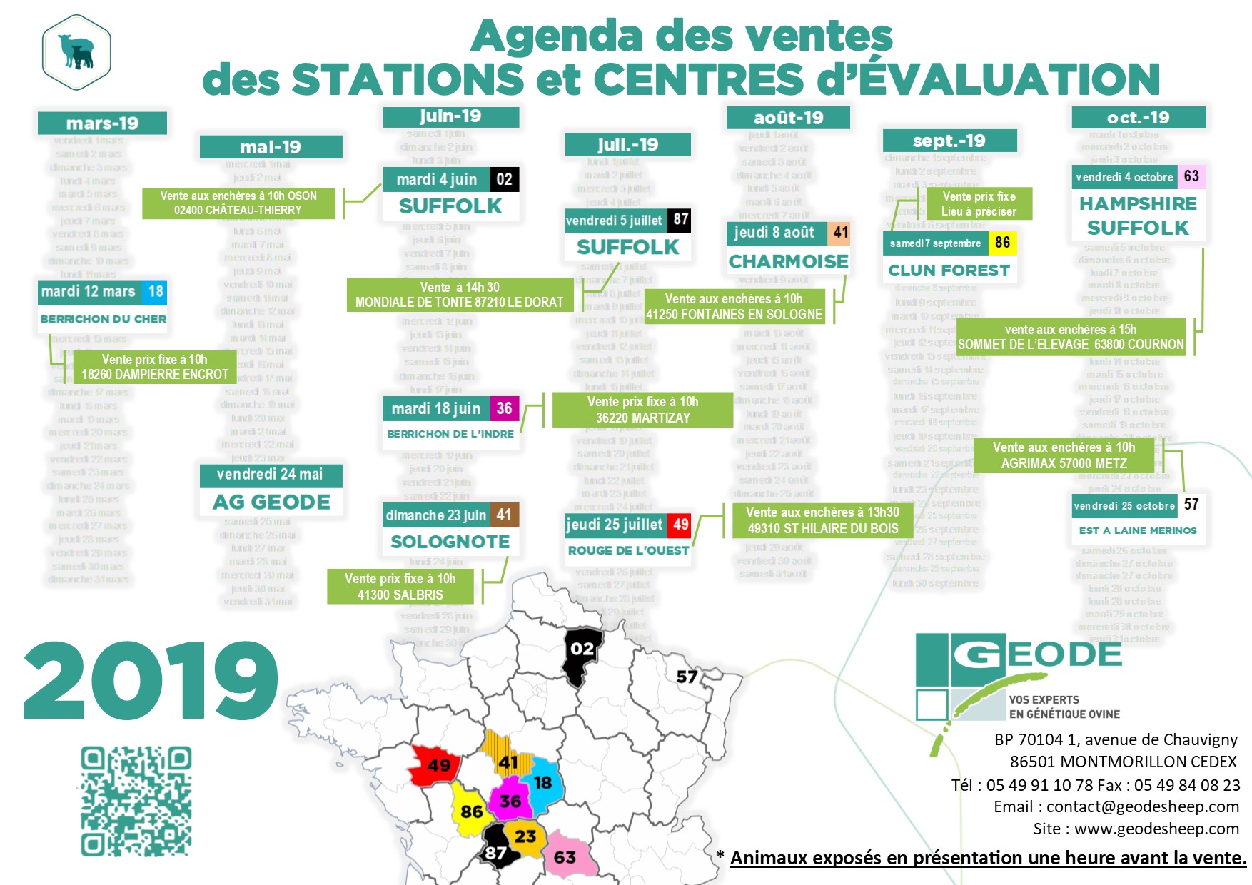 Coopérative ovine - élevage et reproduction de mouton - Geode